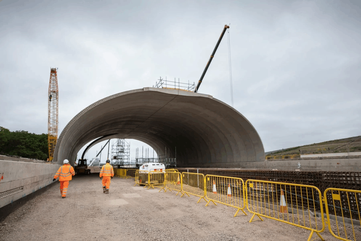 Whose Bat Tunnel? – Cambridge Approaches